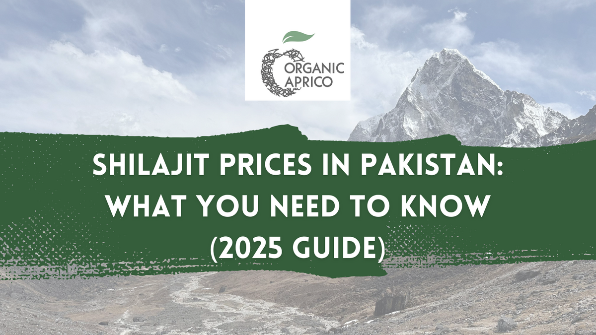 Shilajit Prices in Pakistan: What You Need to Know (2025 Guide)