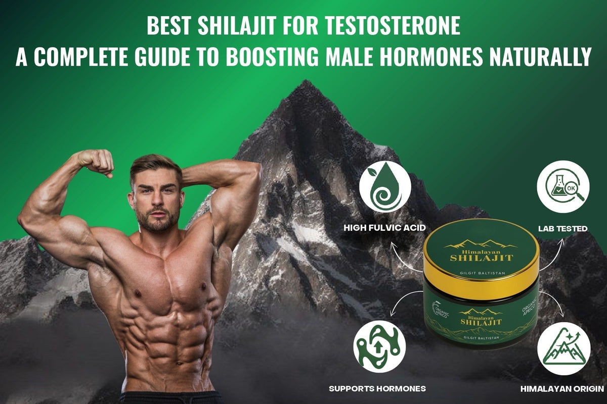 Best Shilajit for Testosterone: A Complete Guide to Boosting Male Horm