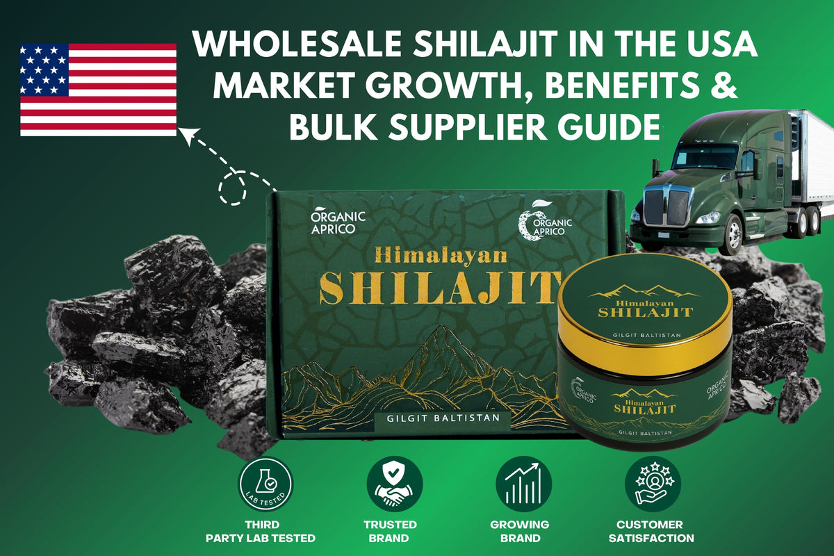 Wholesale Shilajit in the USA: Market Growth, Benefits & Bulk Supp