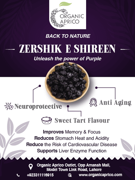 Zarshak Shireen (Black Barberries) Zarshak e Shireen Price in Pakistan